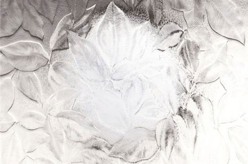 Pilkington Texture Glass